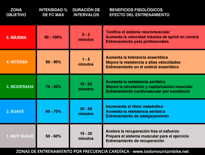 Guía práctica para realizar entrenamientos basados en la frecuencia ...